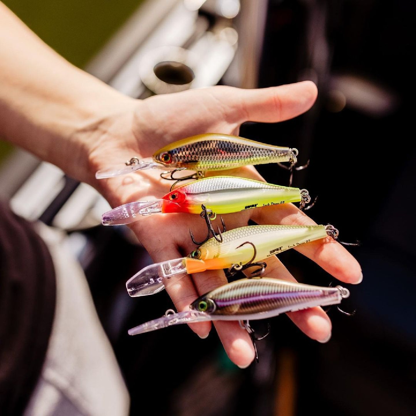 Alles wat je moet weten over de lippen van pluggen