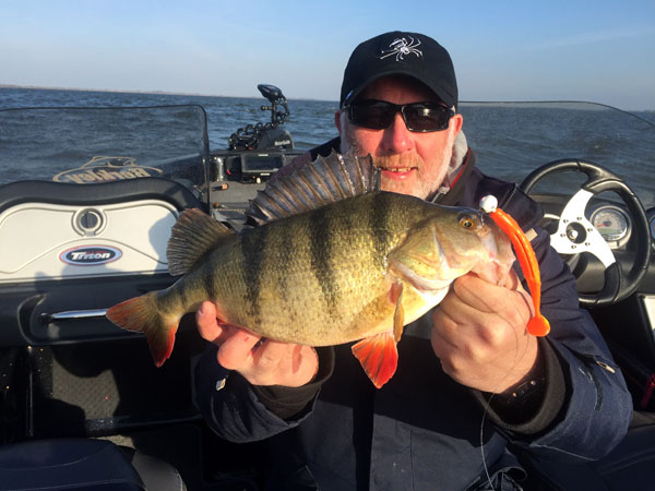 Baars vissen - Tackleshop.nl