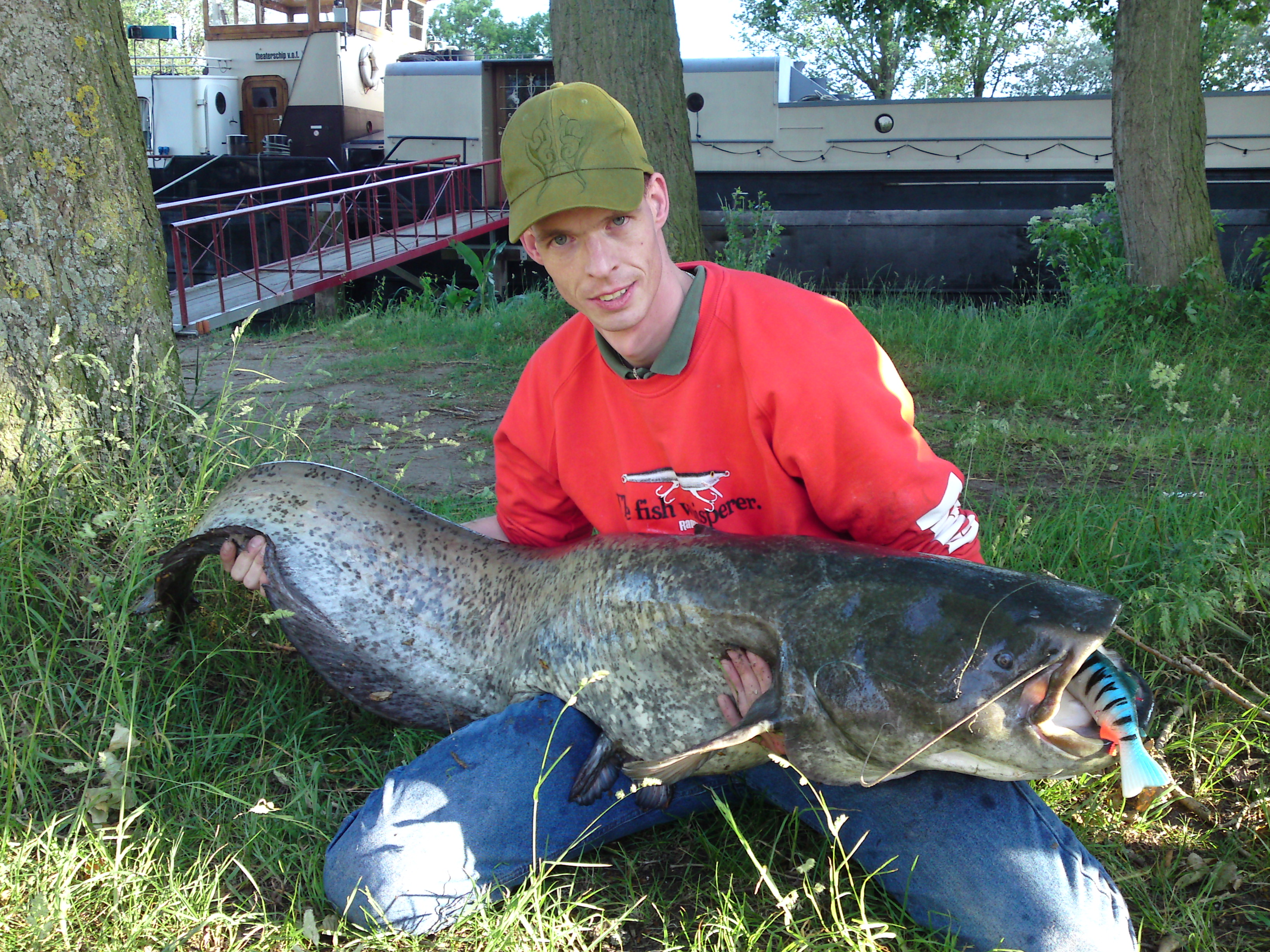 Meerval vissen? De beste big game materialen