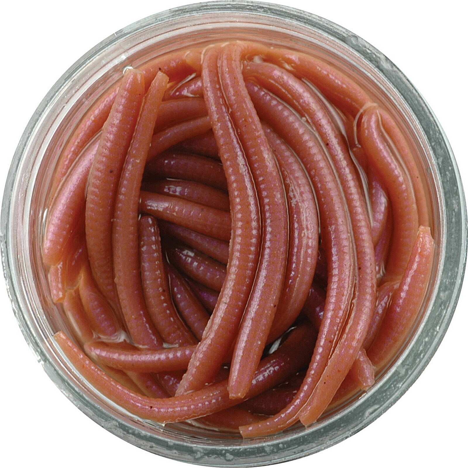 Berkley Gulp Alive Angle Worm | Tackleshop.nl