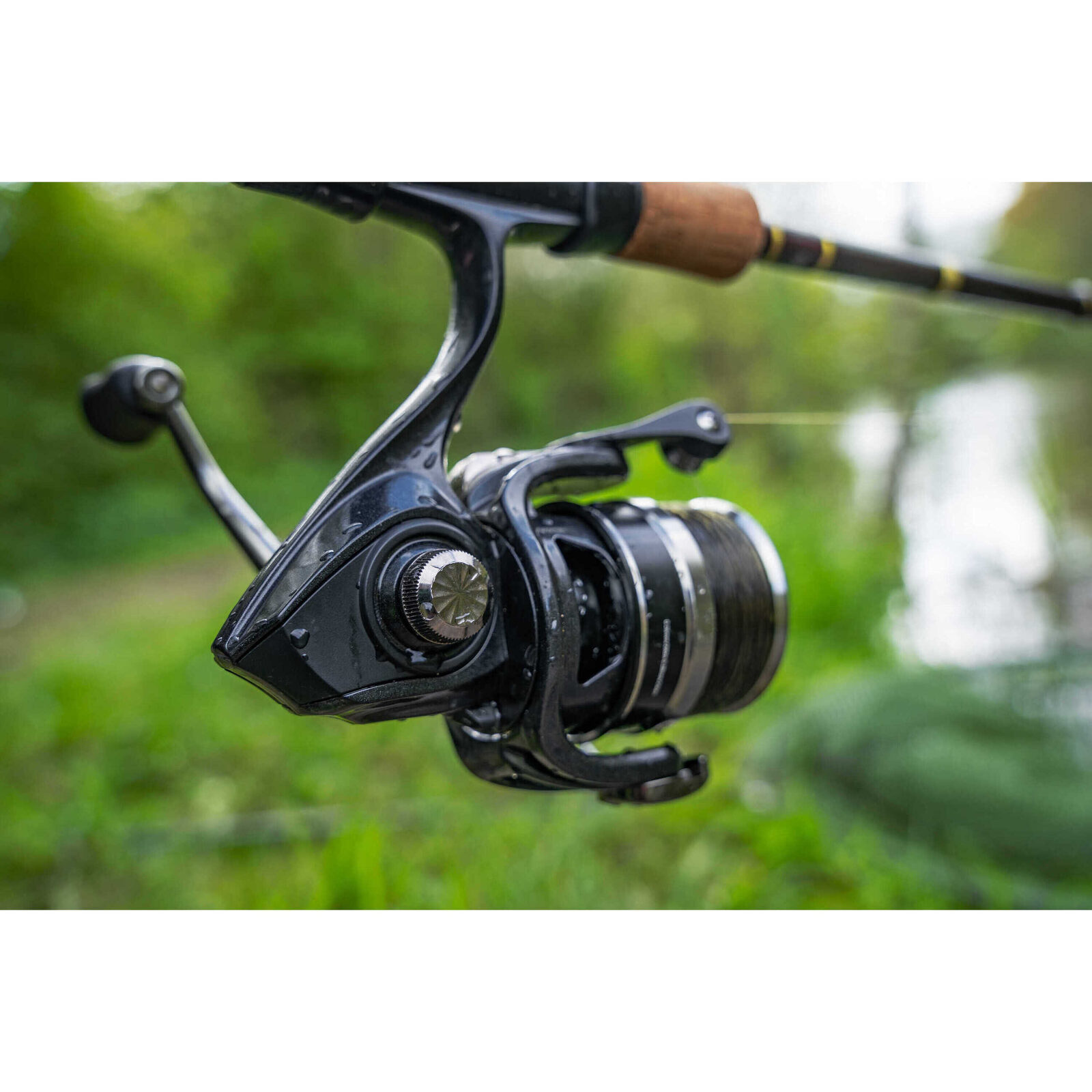 Korum Axis II | Tackleshop.nl