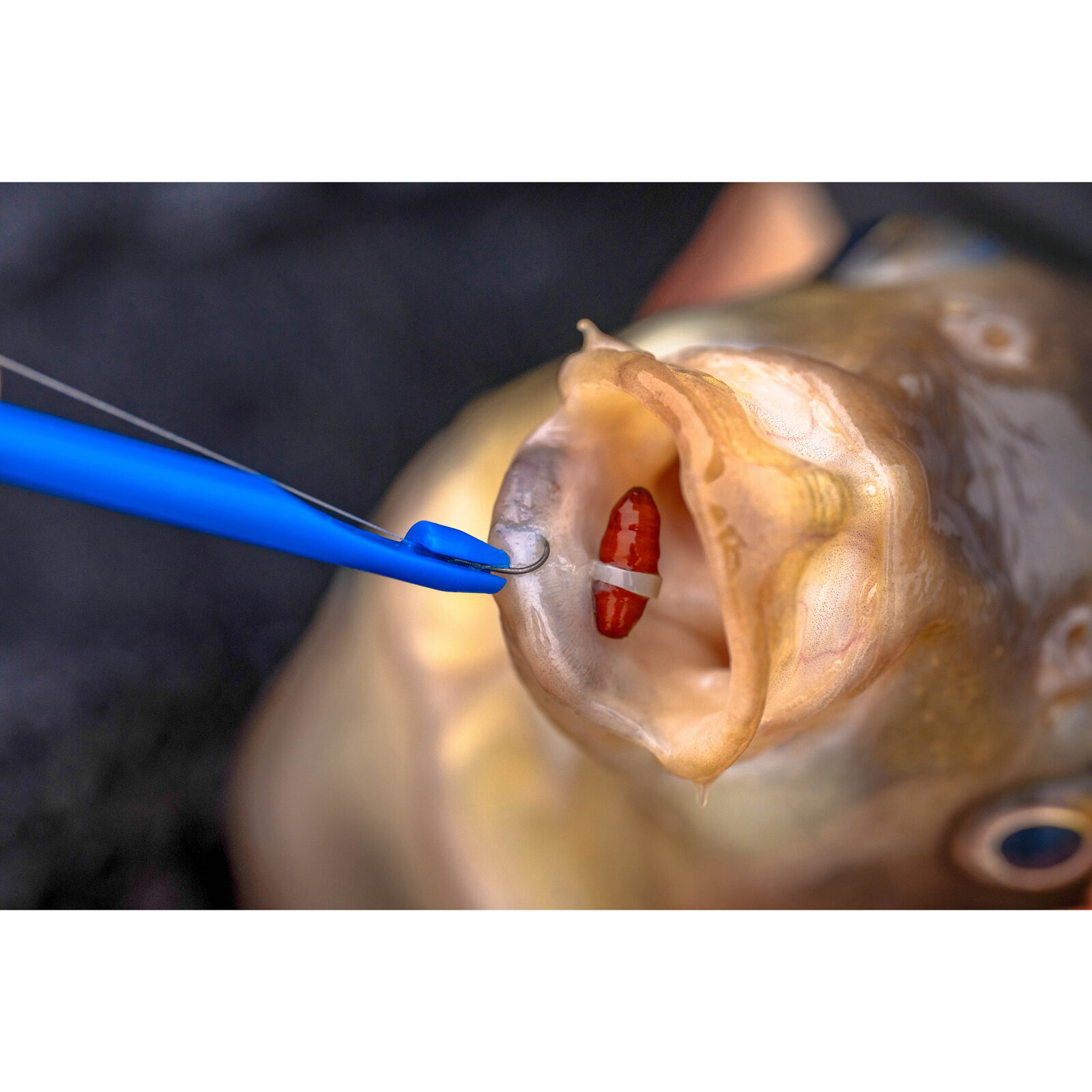 Preston Bander Disgorger Twin Pack | Tackleshop.nl