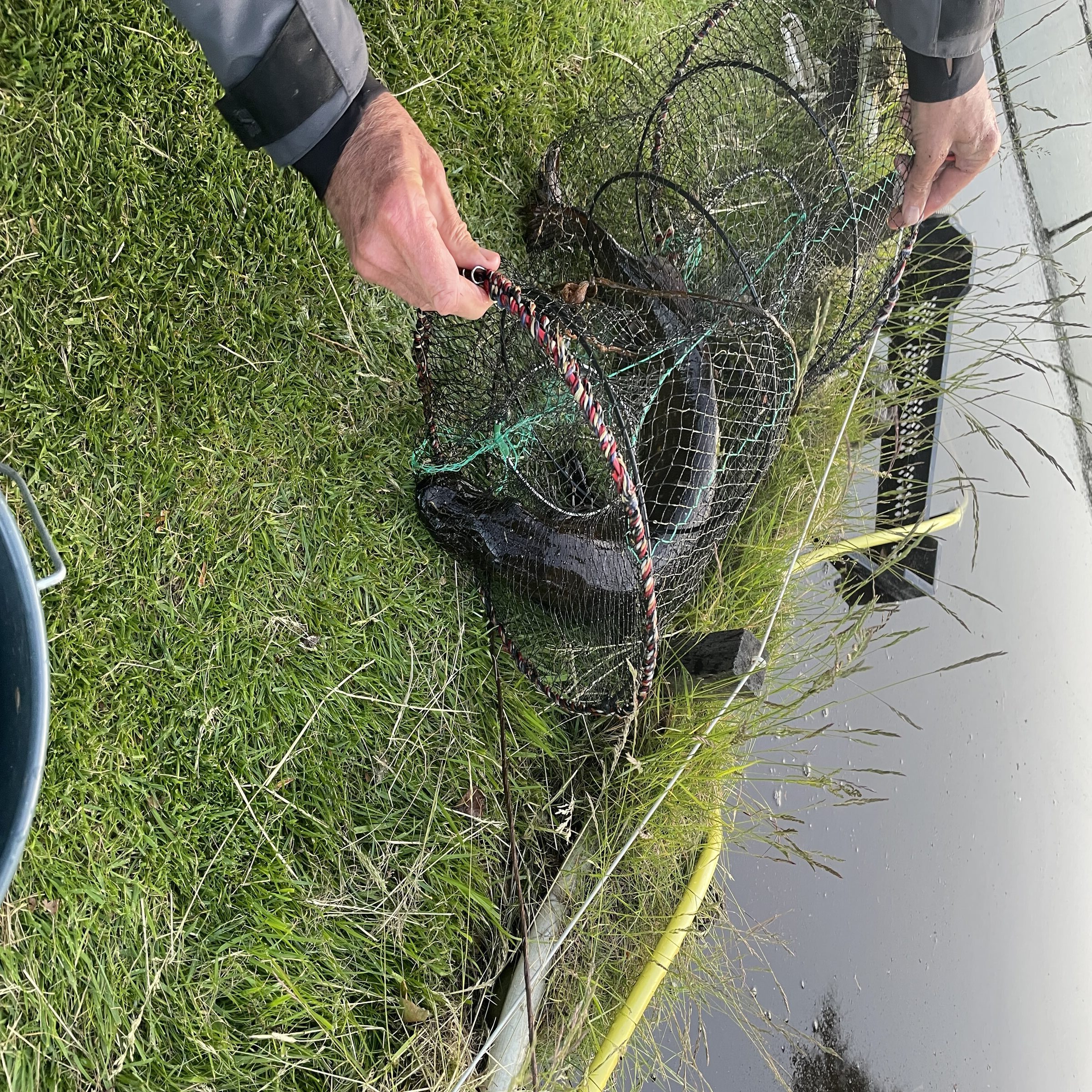 Dam Krabben & Kreeften Fuik | Tackleshop.nl